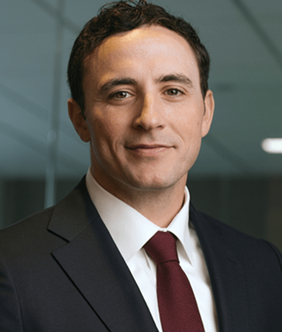 Matthew M. Quirin - Meister Seelig & Fein